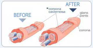 EnhanceRx Male Enhancement | Enhance Your Sex Life Today